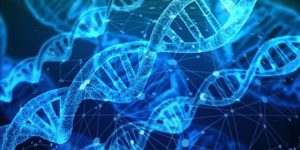 DNA: The Blueprint Of Life I Oxford Open Learning